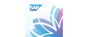 SAP BTP Administrator - Emax